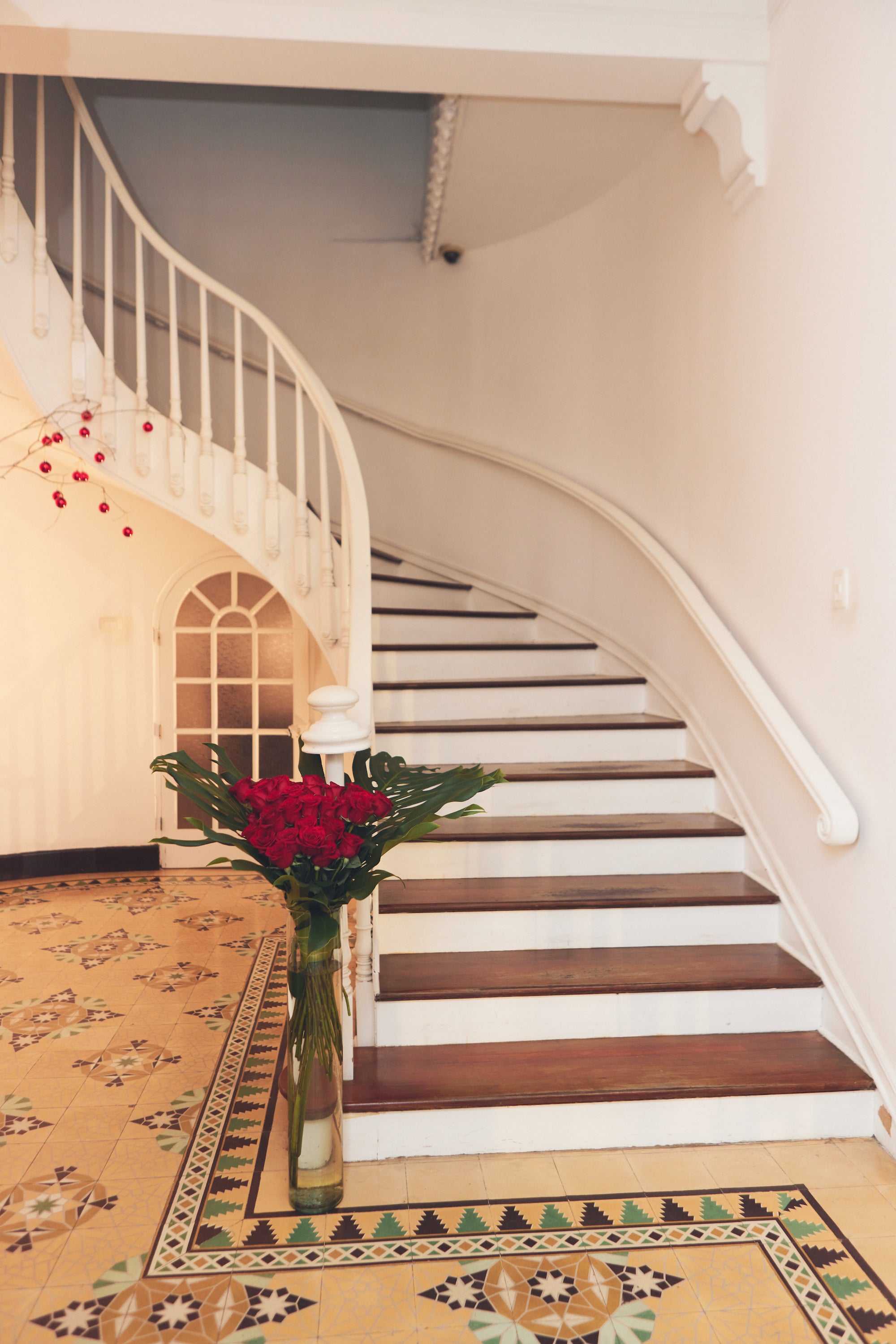 CASA MIRANDA – Francesca Miranda